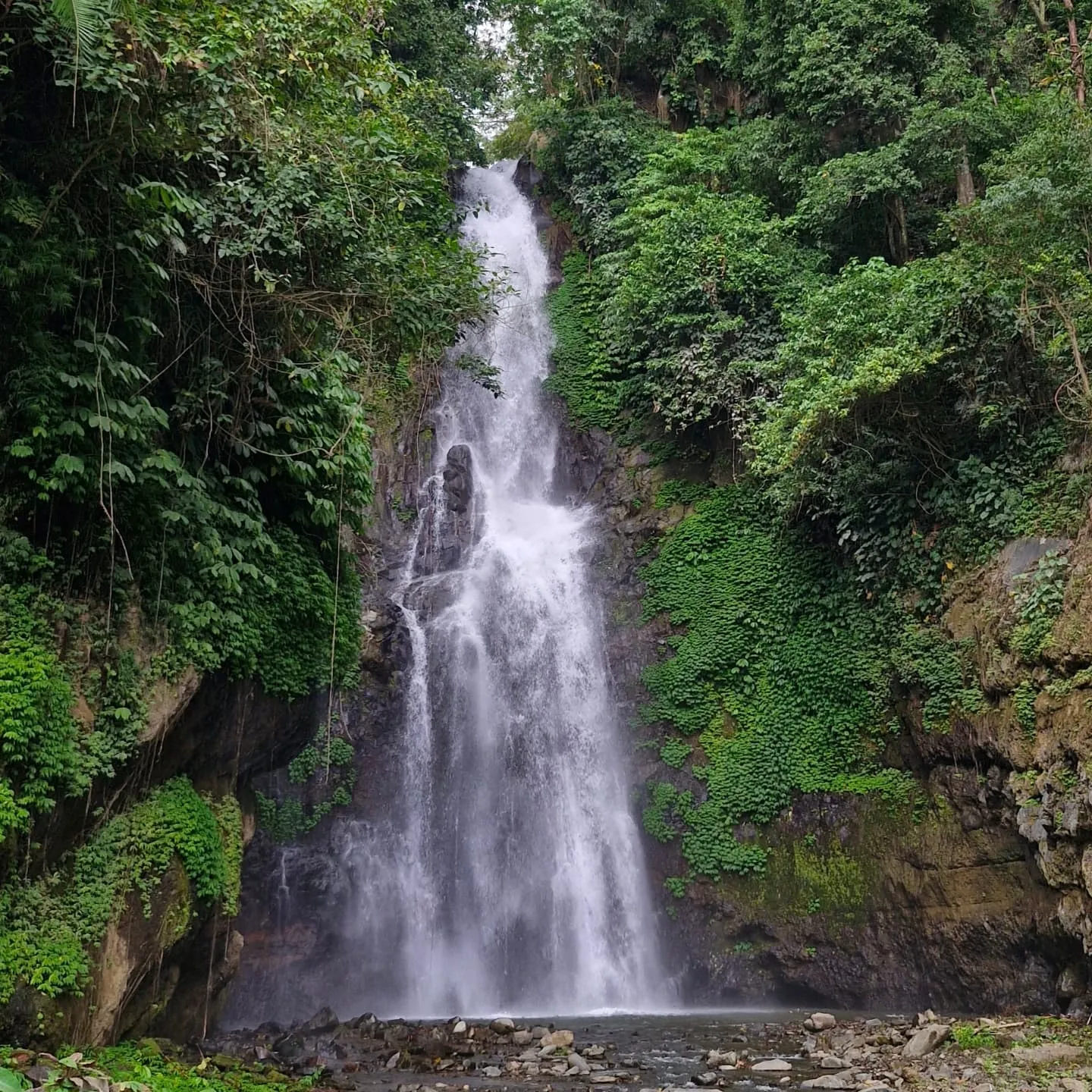 Ceburan Dukuh Waterfall Gitgit, Nggak Cuma Buat Foto-Foto - OemahBali